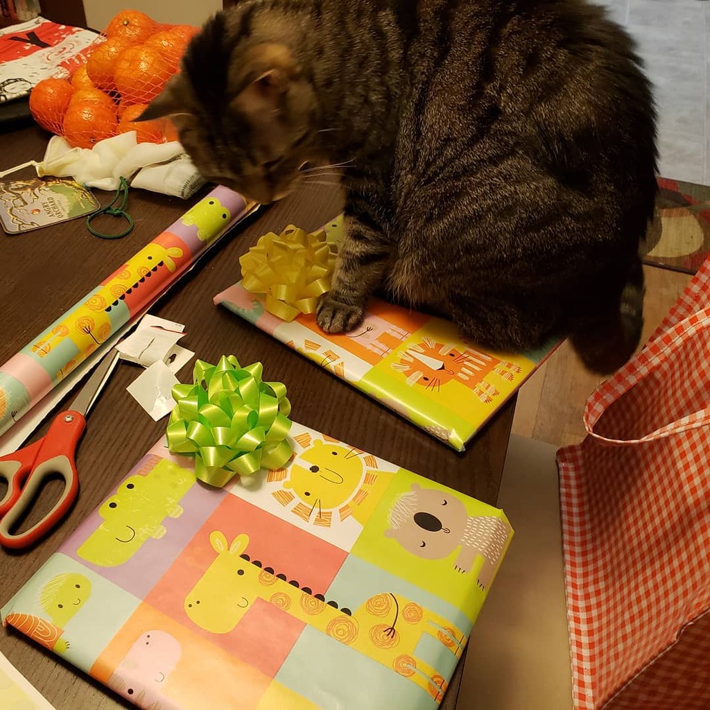 Linus helps me with wrapping baby shower presents. – trinalin thinks ...