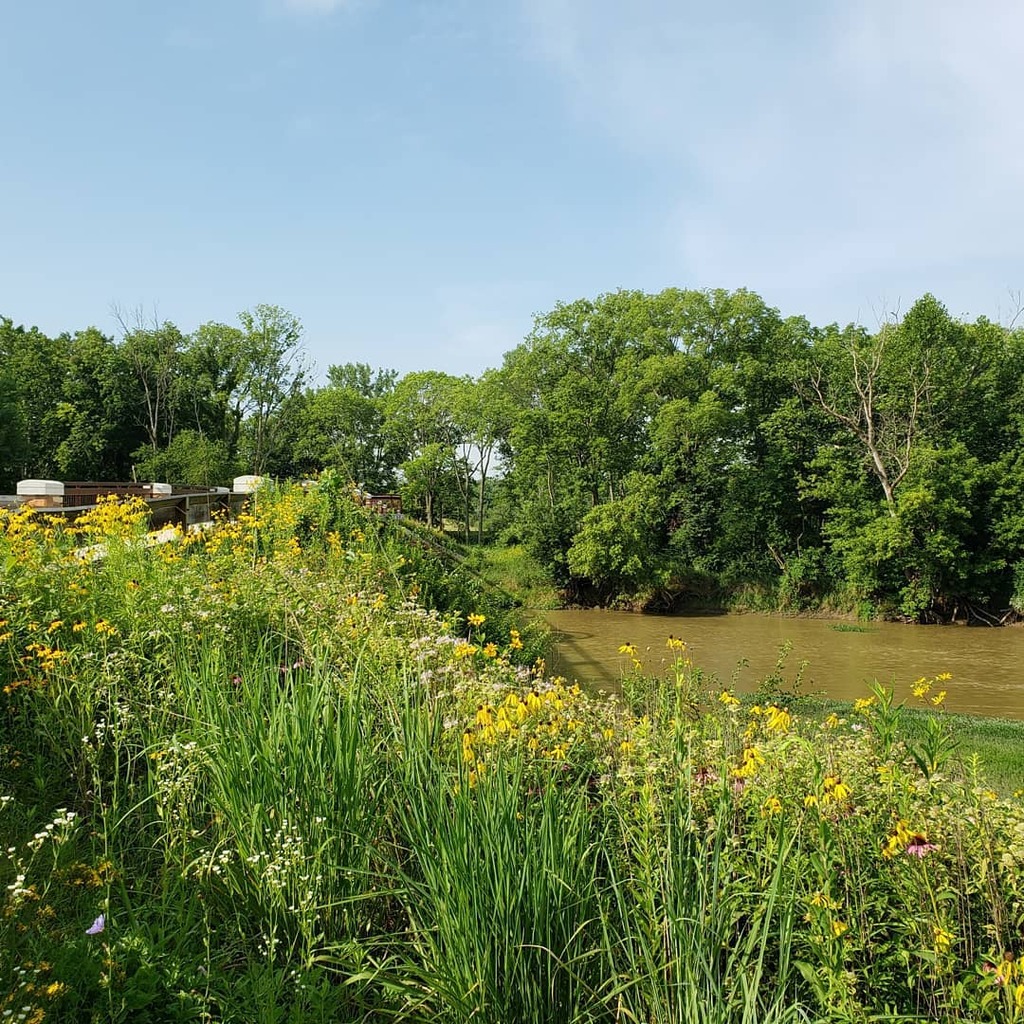 July 20, 2019 – trinalin thinks things through