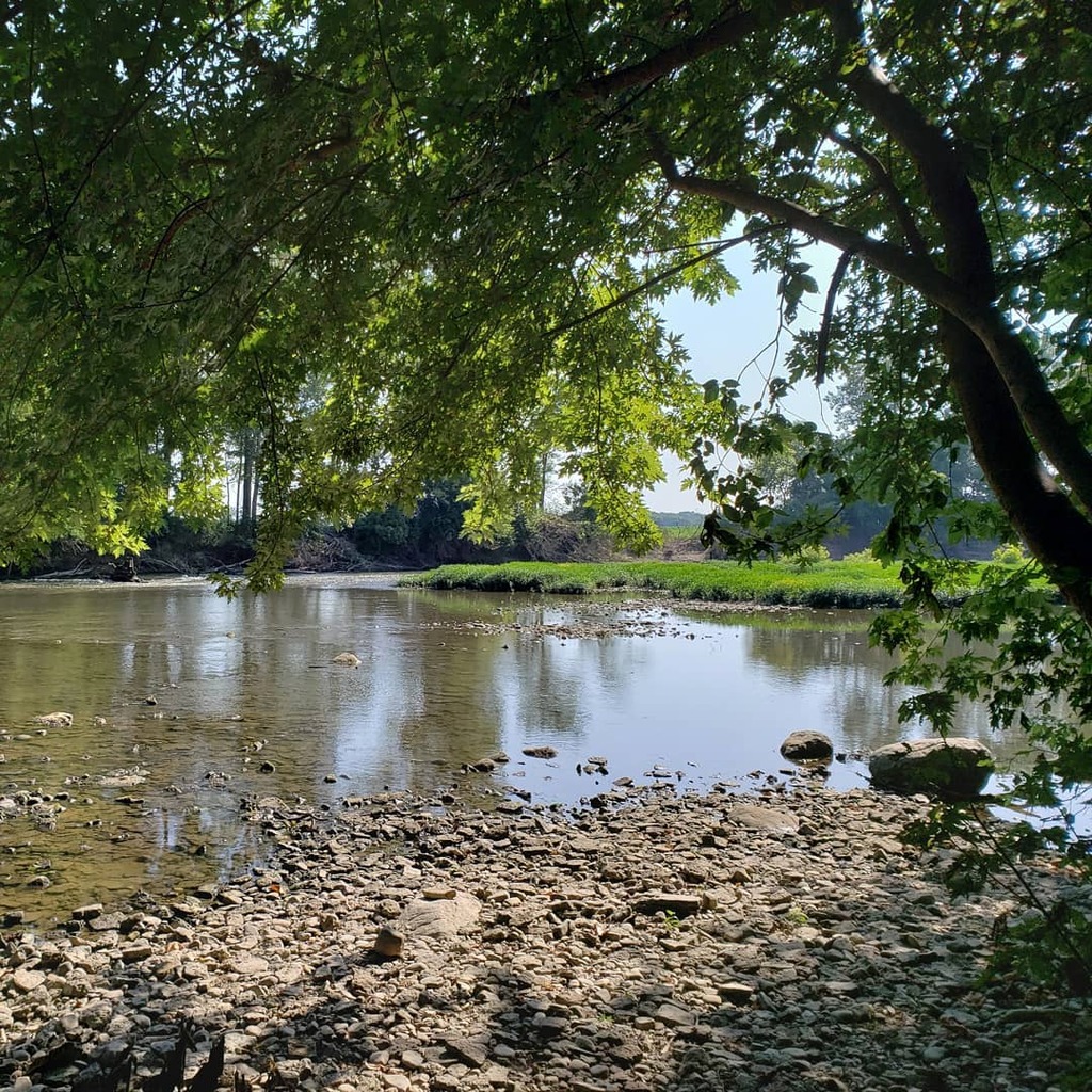 August 5, 2019 – trinalin thinks things through