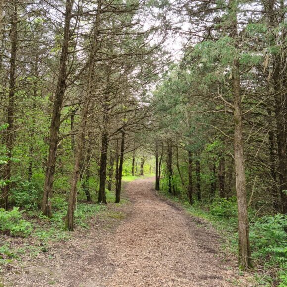 May 4, 2020 – trinalin thinks things through